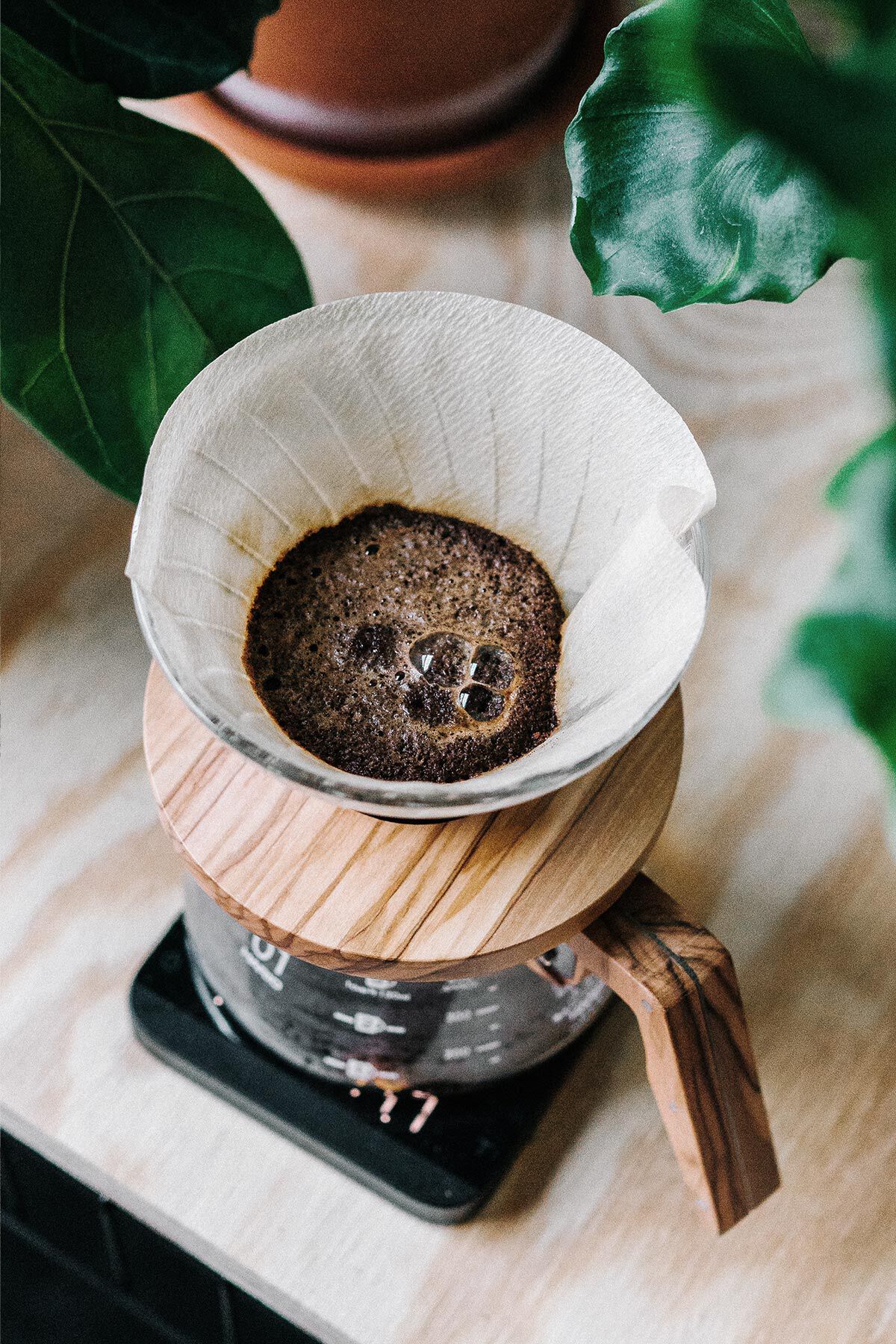 Equipo - Delfit Group